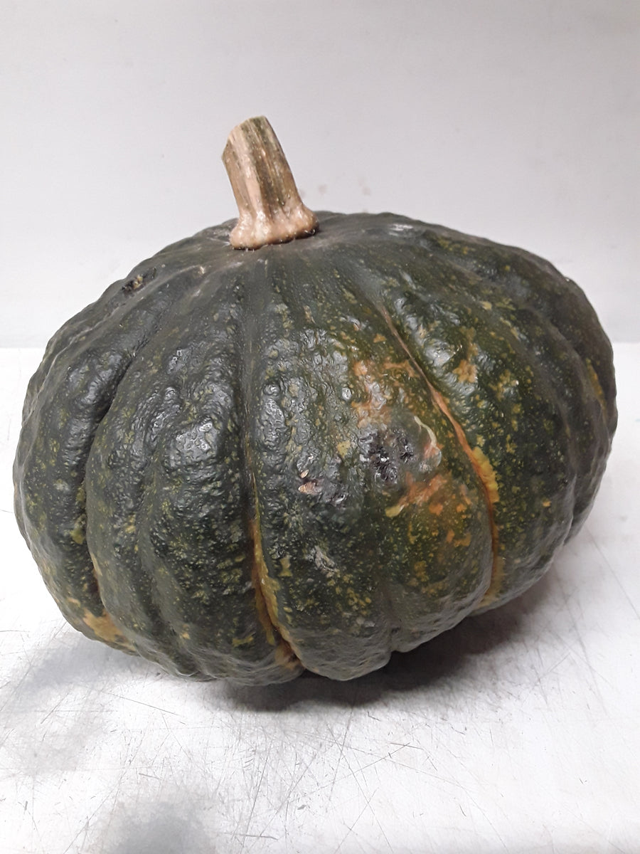 Organic Squash Iron Cap – Valley Organics Worker's Co-op